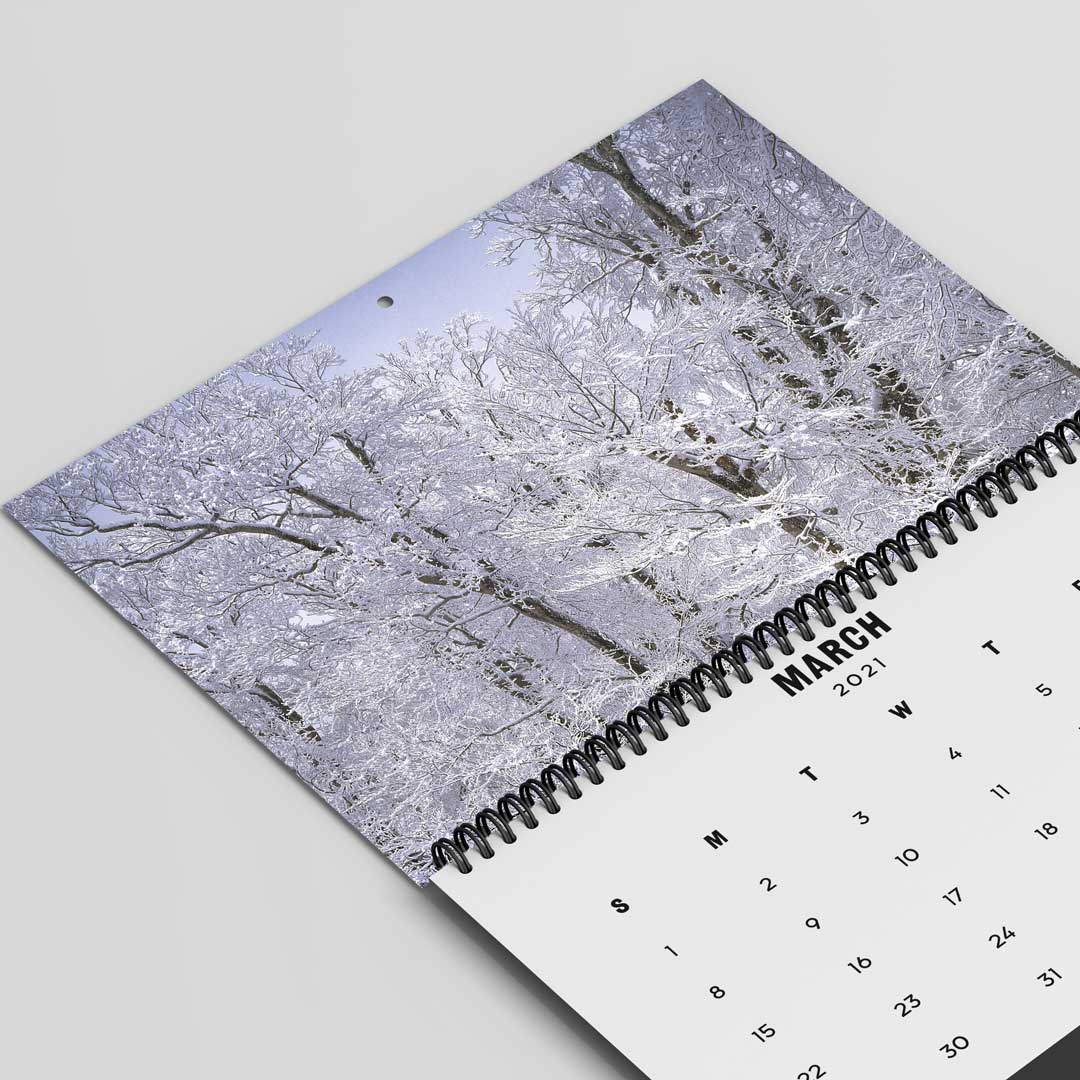 Home | Lakeside Camera Photoworks | Lakeside Camera Photoworks